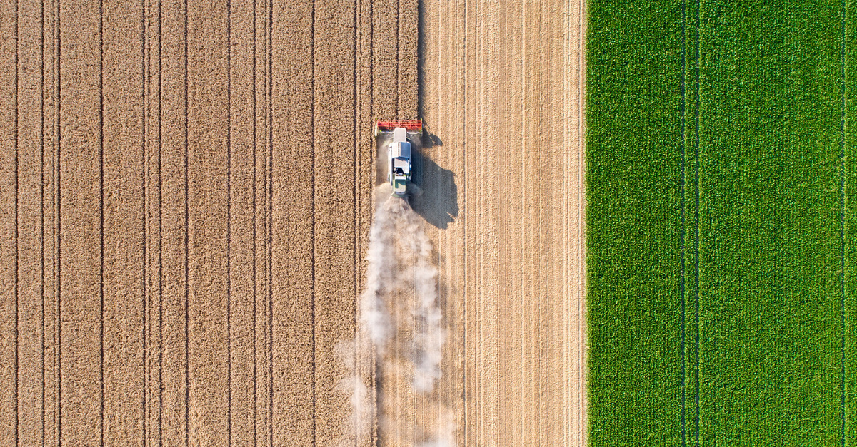 Ripe Returns: Managing Natural Capital in Agriculture | FTI