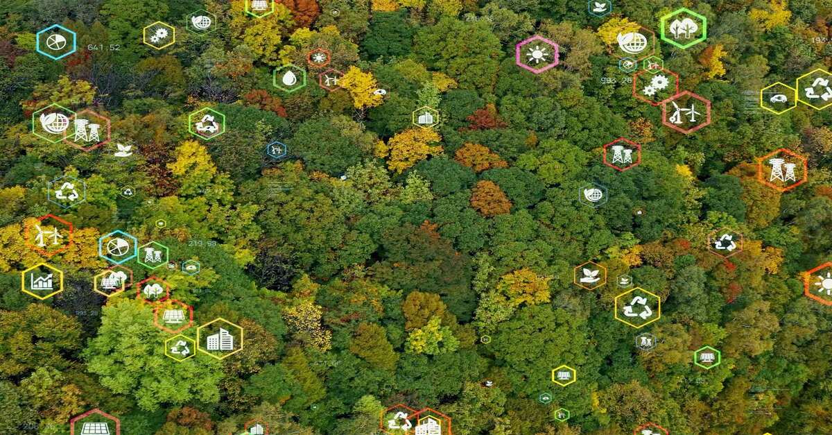 ESG: A New Value Creation Lever for IROs and CFOs | FTI