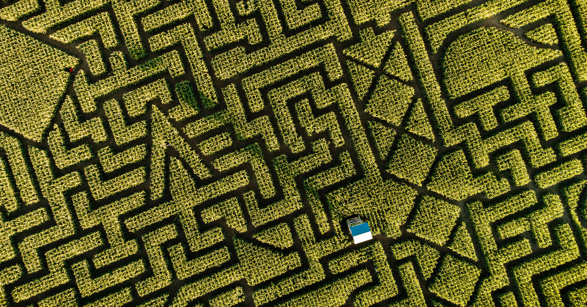 Green Fraud: The Dark Side of Sustainability | FTI