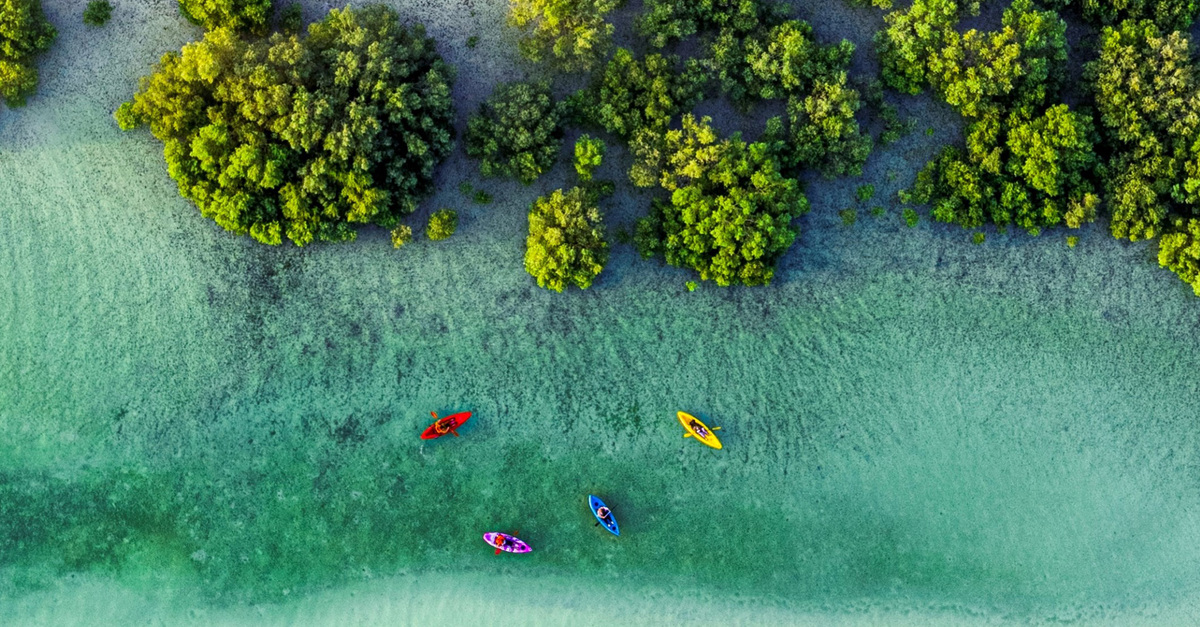 Valuing Nature Guide to Quantifying Ecosystem Services | FTI