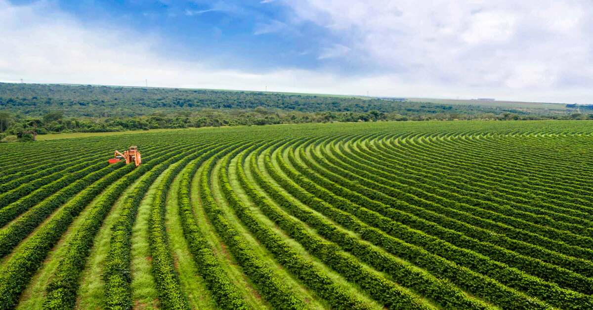 Global Investment Trends Opportunities in Agribusiness | FTI