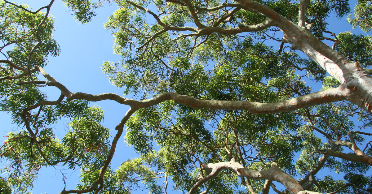 ESG and Sustainability Service Sheet | FTI Consulting