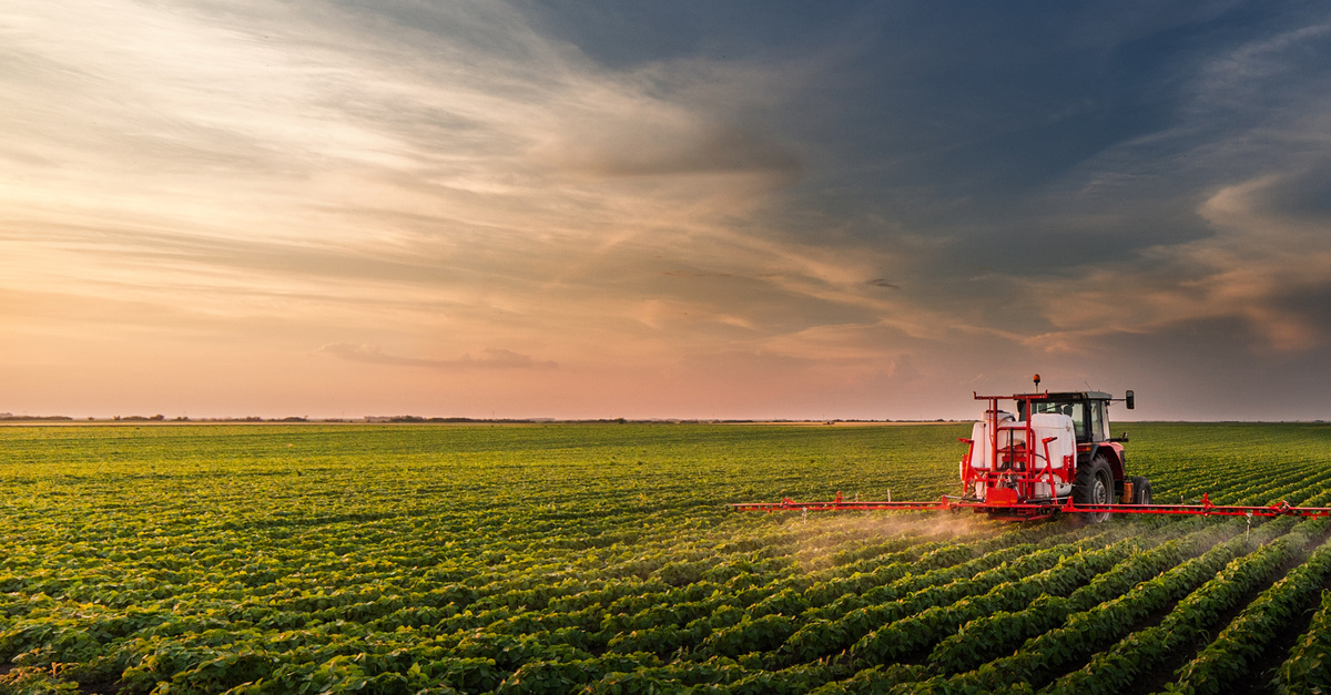 Agribusiness Interim Management Service Sheet | FTI